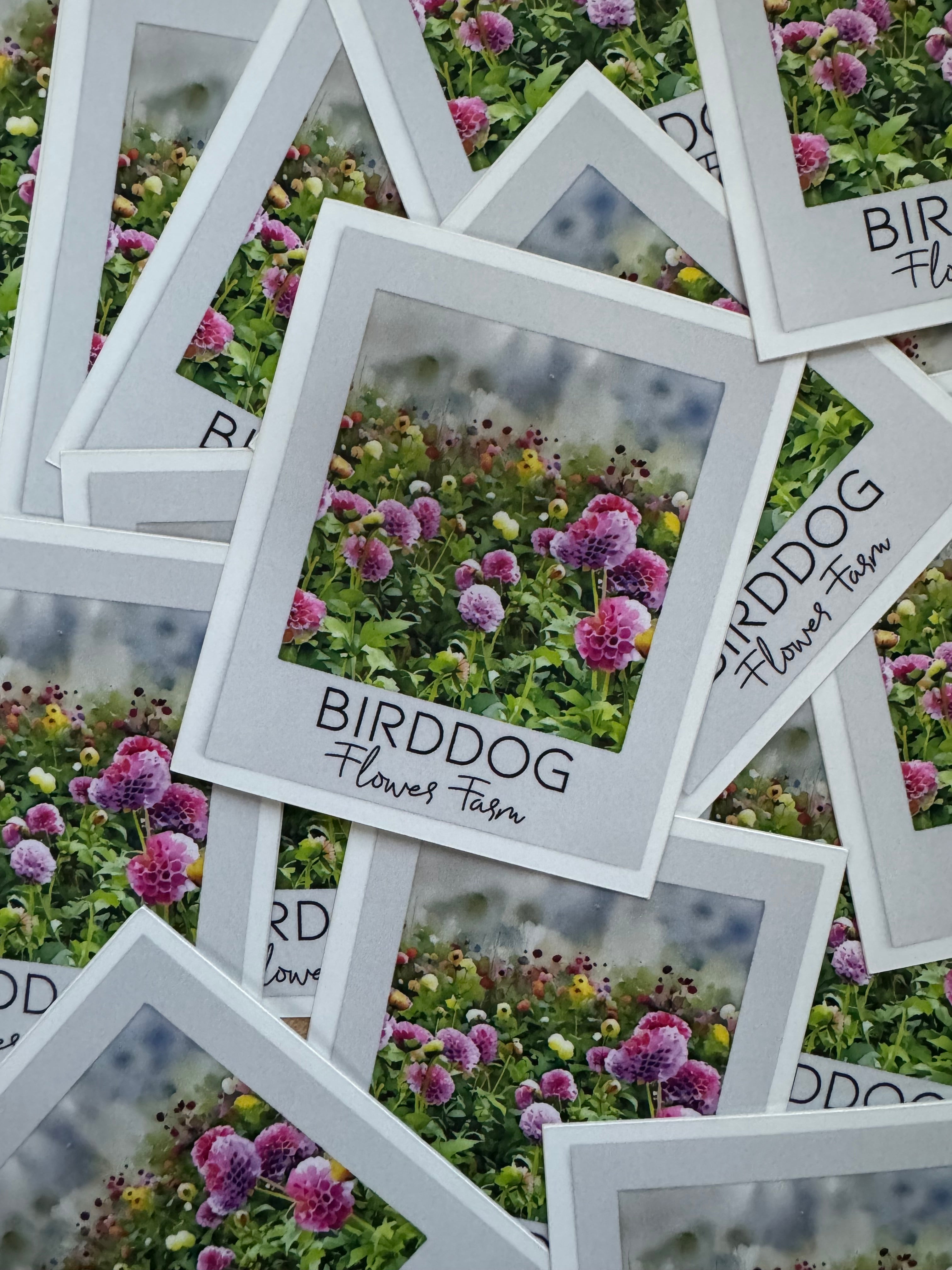 Sticker - Polaroid – Birddog Flower Farm